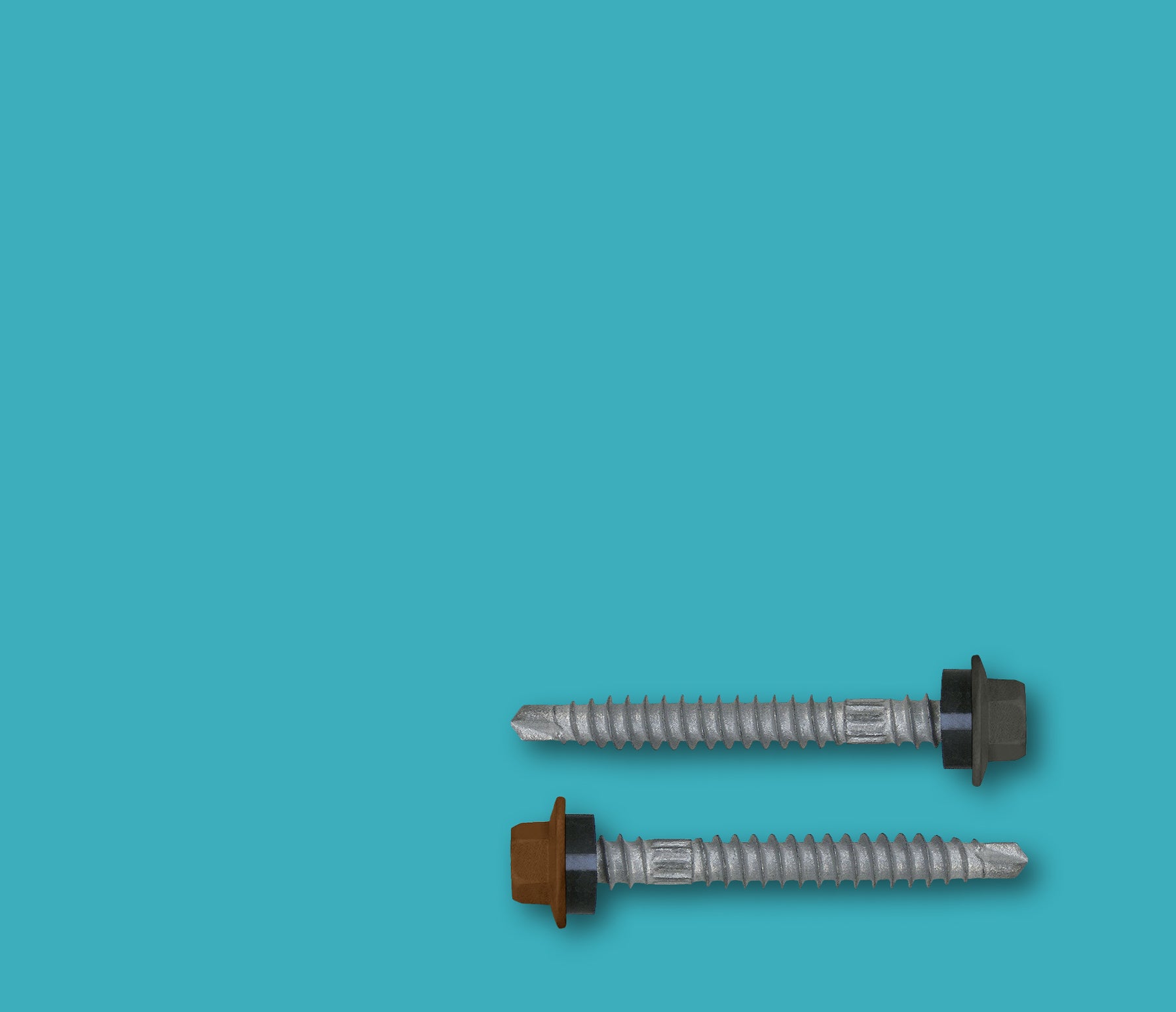 Common Colorbond® Painted Screws — NPX Fasteners